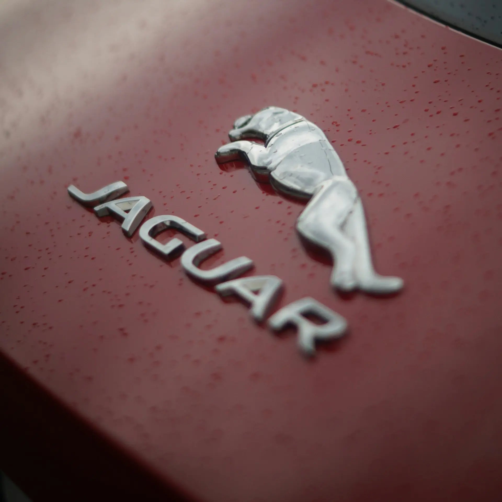 Jaguar – Tagged "Forced Induction"– Superior Autohaus